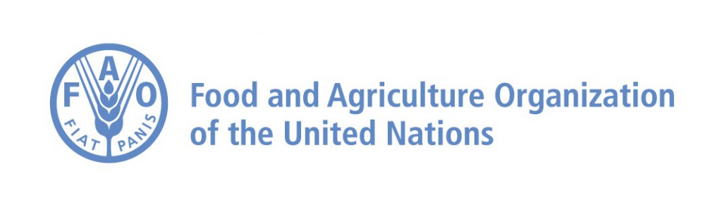 FAO_logo_Blue_2lines_en - Social Protection and Human Rights
