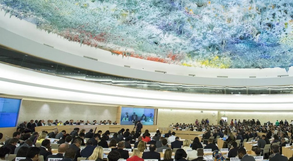 hrc 29 - Social Protection and Human Rights
