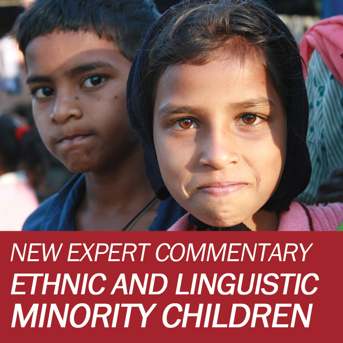 Box_New_Expert_Commentary_Ethnic_Minorities_Children - Social ...